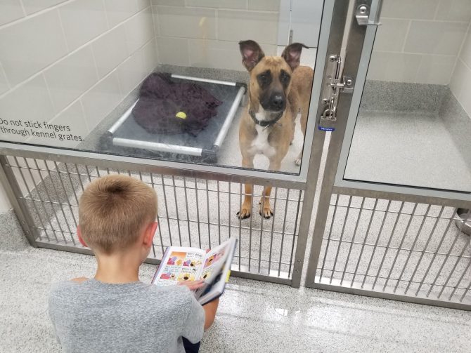 Partner Spotlight: Nebraska Humane Society | Omaha Public Library